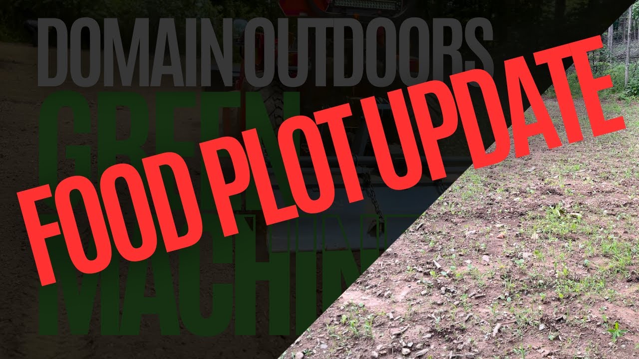 DOMAIN OUTDOORS FOOD PLOT UPDATE - YouTube