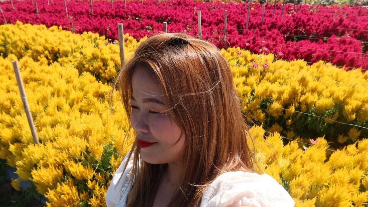 NEWEST ATTRACTION IN TARLAC (Farmer's Love Agri Farm) - YouTube