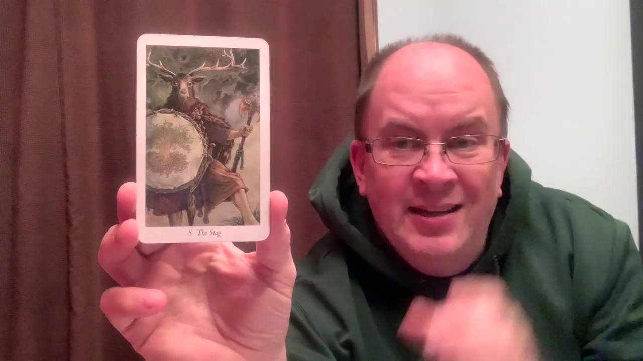 The Spirit's Path Tarot Card of The Day The Stag - YouTube