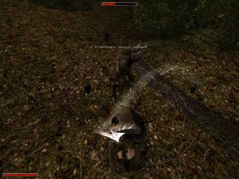 Gothic 2 - Beating Dragon Snapper with level 1 - YouTube