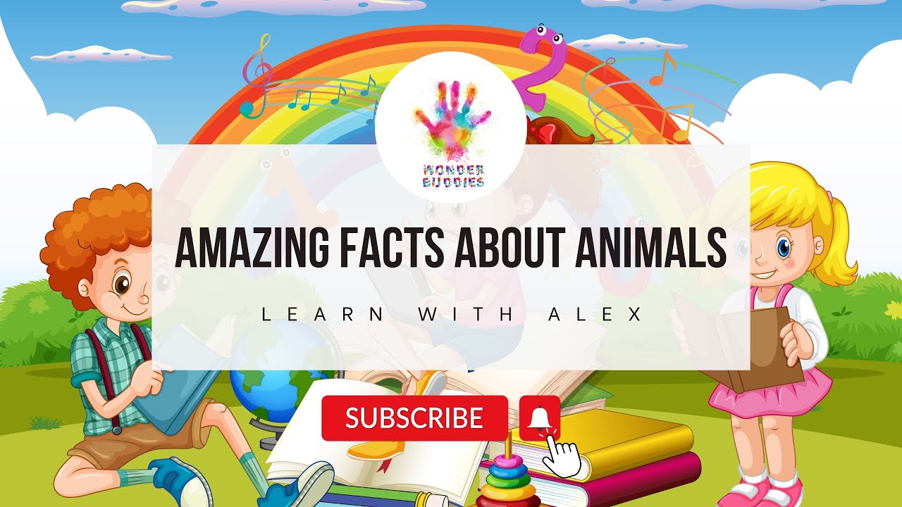 Jungle Safari Adventures - Exploring the Wonders of the Animal Kingdom ...