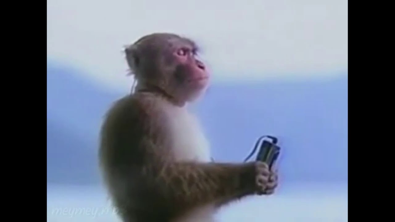 mmm.... monke - YouTube