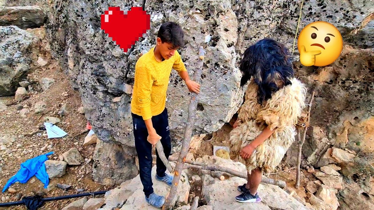Caveman Love: Building a Safe Haven - YouTube