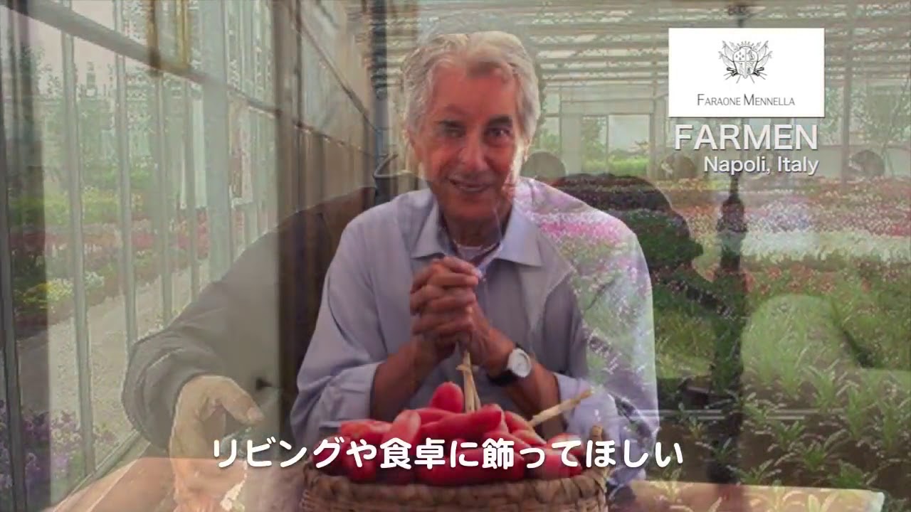 Pansy Moulin Rouge - YouTube