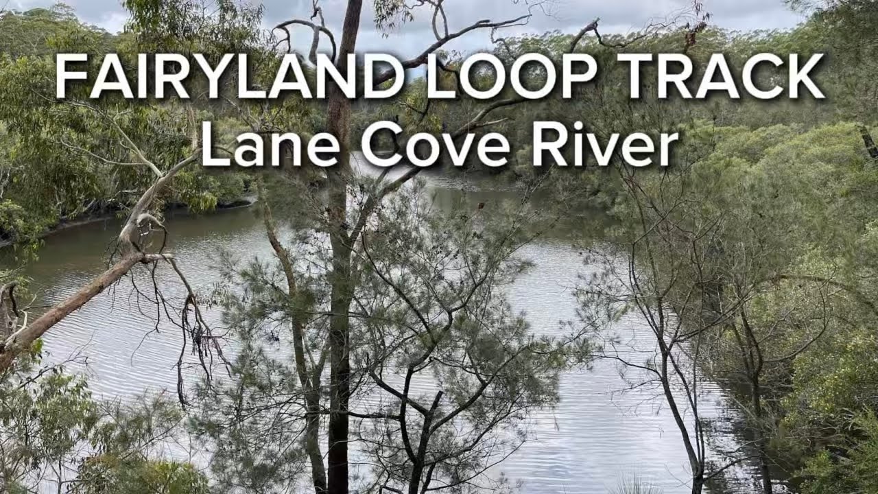 Hiking Fairyland Loop Track, Lane Cove River - YouTube