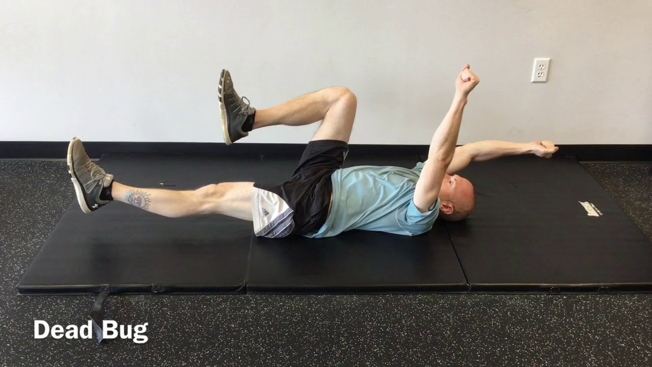 Dead Bug - YouTube