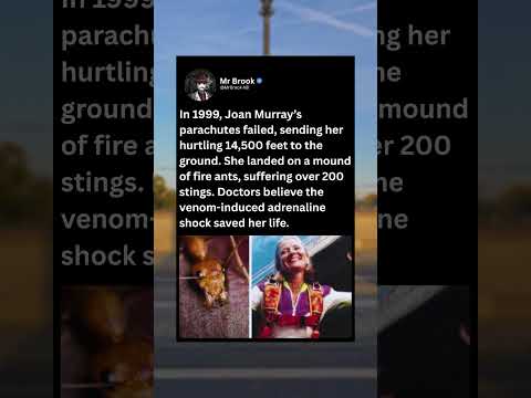 In 1999, Joan Murray's parachutes failed, sending her