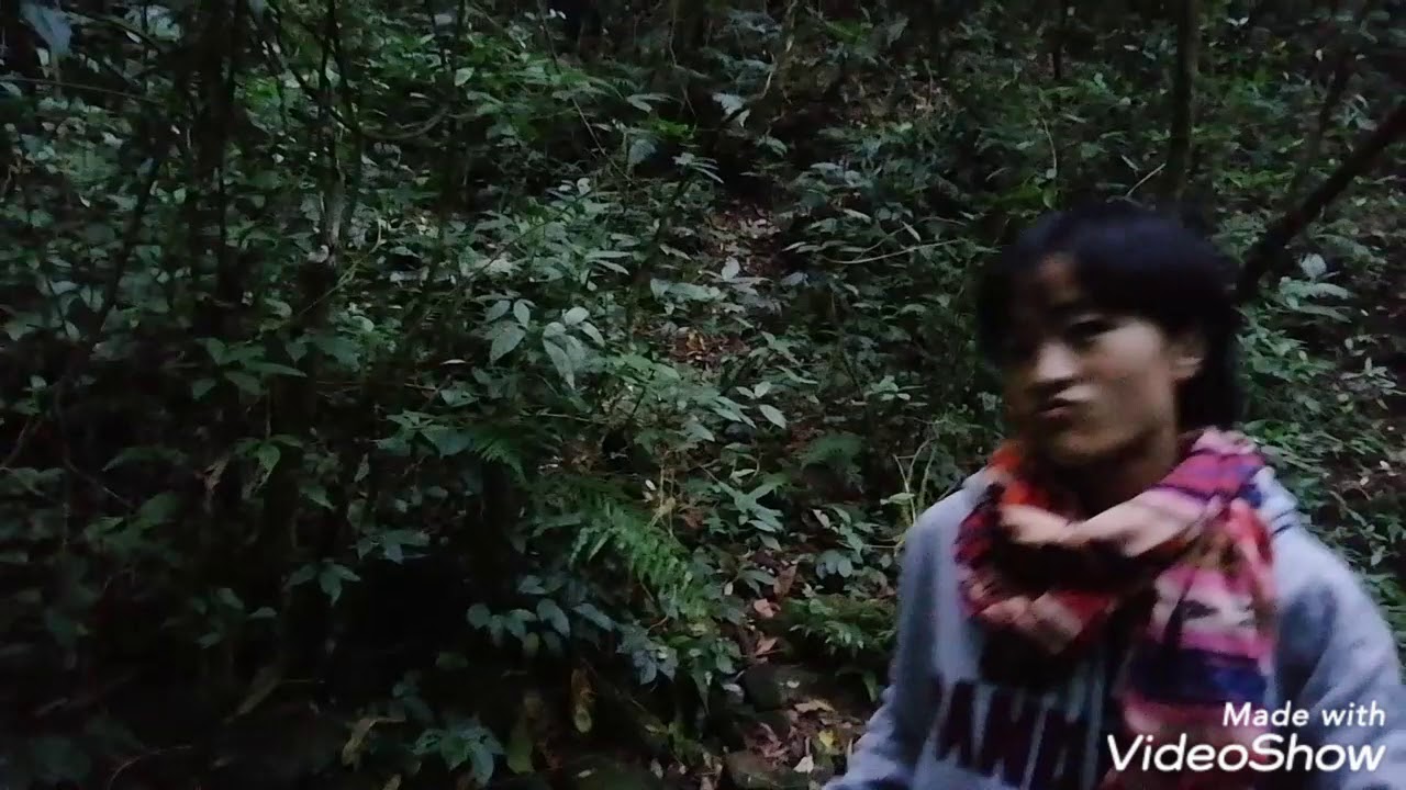 Motinagar forest shillong - YouTube