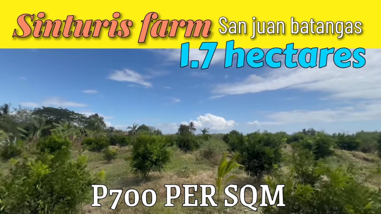 V400-24 • 1.7 Hectares Dalandan/Sinturis Farm with Mountain View in San ...