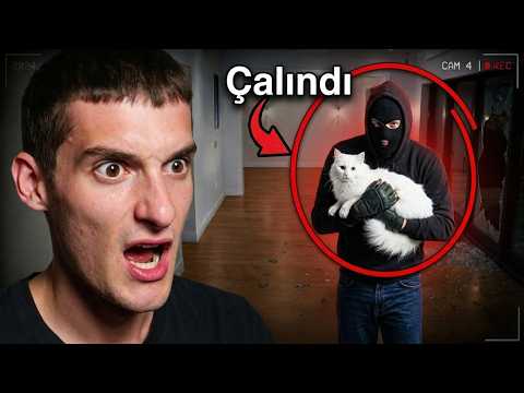 EVİME HIRSIZ GİRDİ KEDİMİ ÇALDI *son video*