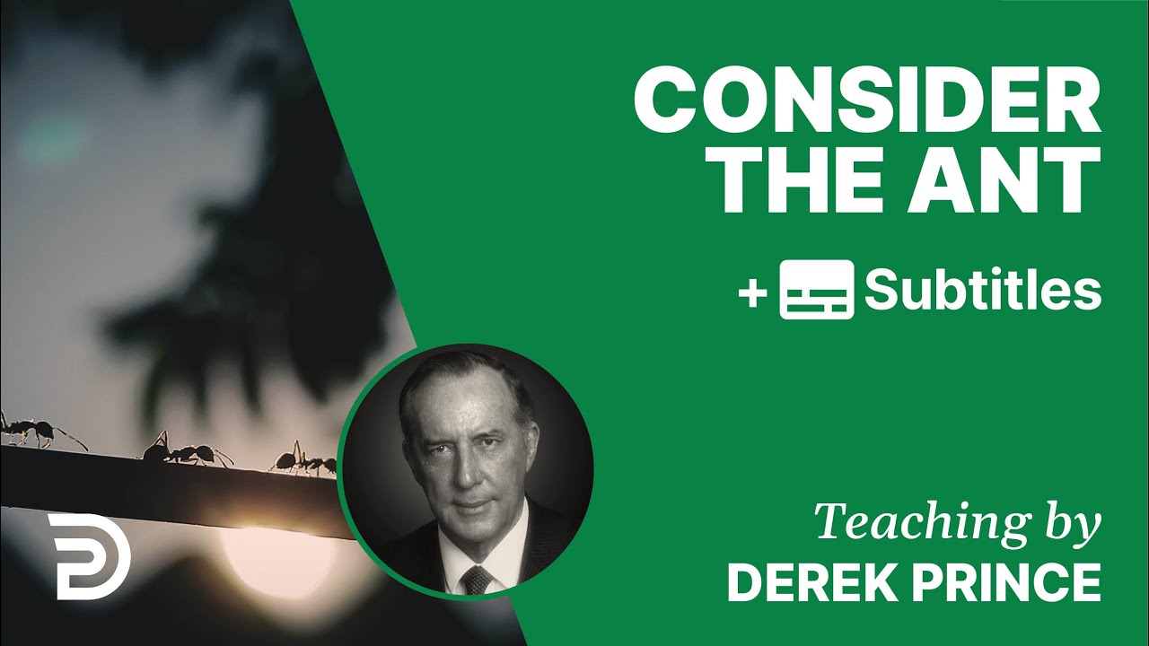 Consider The Ant | Part 157 | Derek Prince Devotions - YouTube