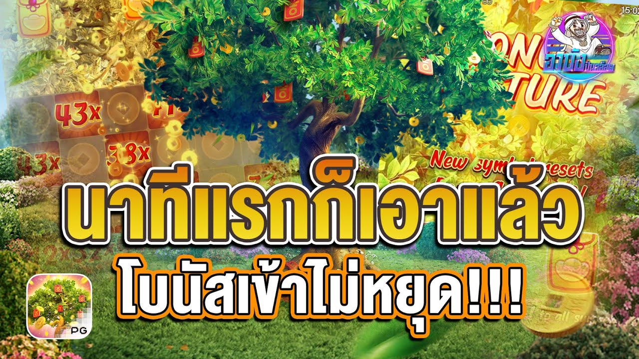 Prosperity Fortune Tree : PG สล็อต ดีกว่าที่คิดนะ - YouTube