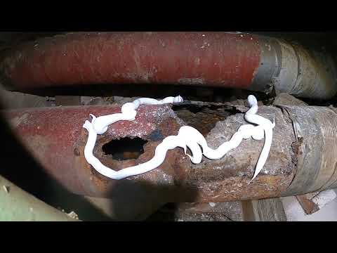 Kempinger 554. Das stinkende Grauen hinter der Wand...   Und Poop war es nicht.