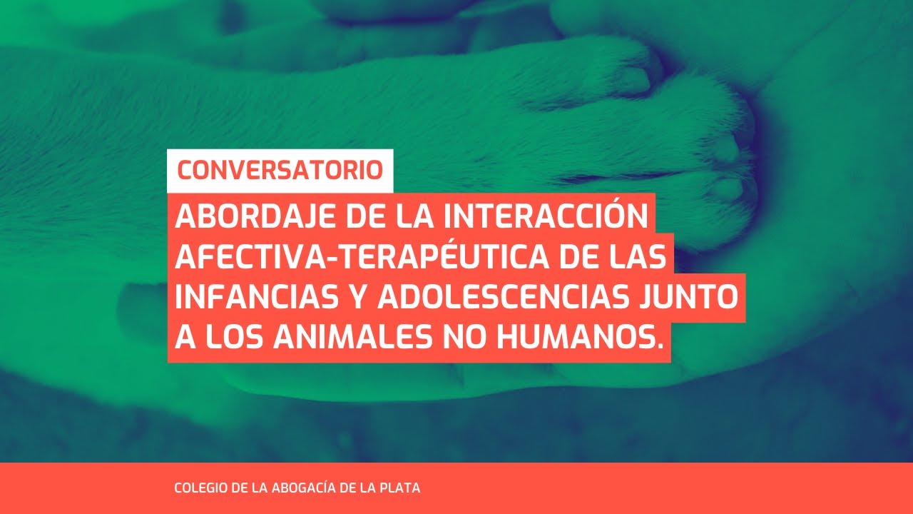 Abordaje de la interacción afectiva-terapeútica de las infancias y ...
