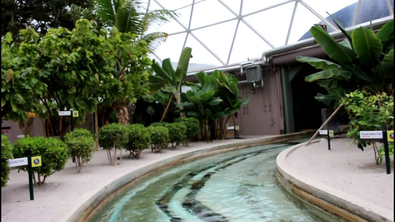 Walt Disney World Epcot Inside The Land - YouTube