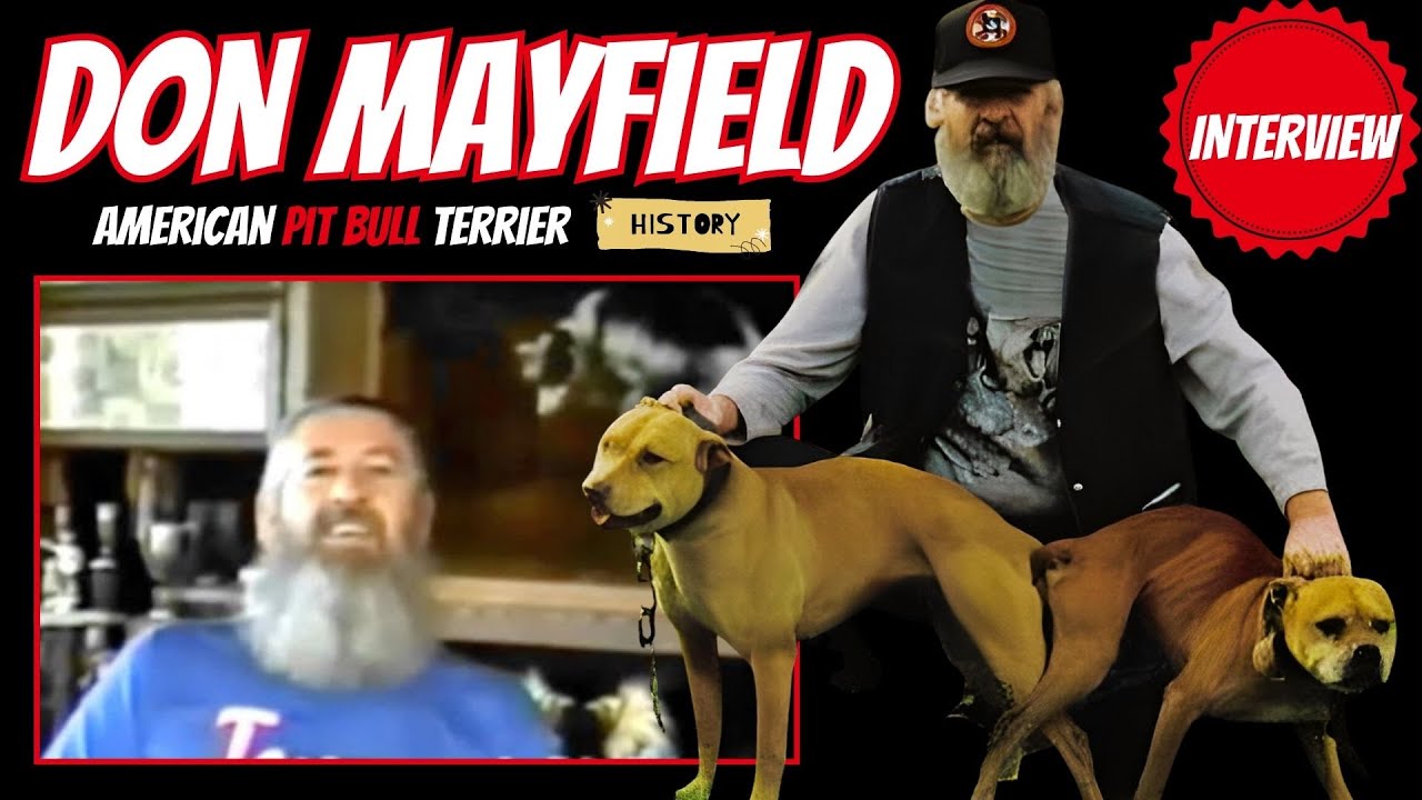 DON MAYFIELD PITBULL CONDITIONING SECRETS | APBT GAMEDOG KEEP - YouTube