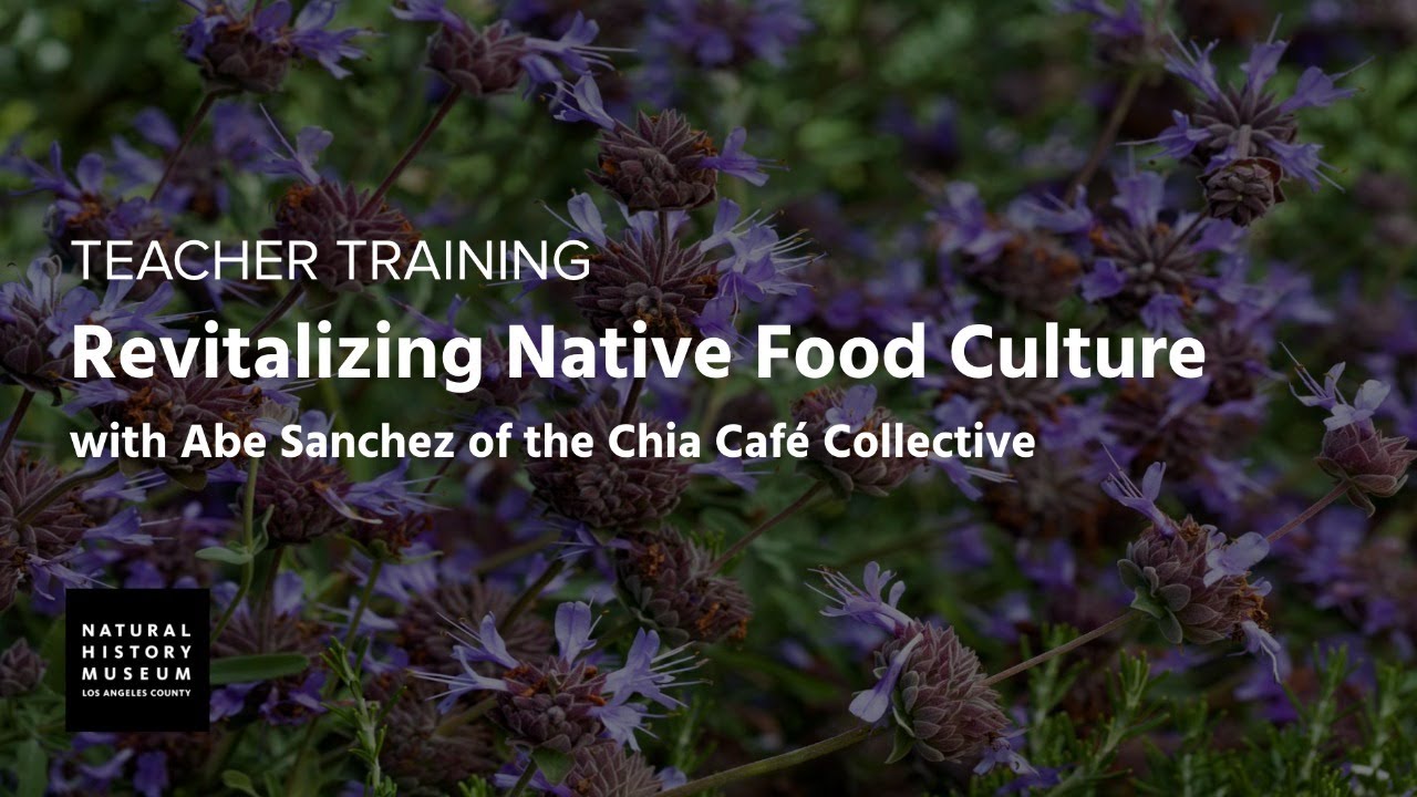 Teacher Training: Revitalizing Native Foods with the Chia Café ...