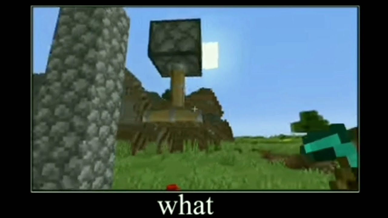 Wait what (Minecraft) #6 - YouTube