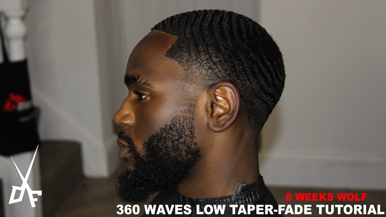8 WEEK WOLFING TRANSFORMATION | 360 WAVE LOW-TAPER FADE 🌊 - YouTube