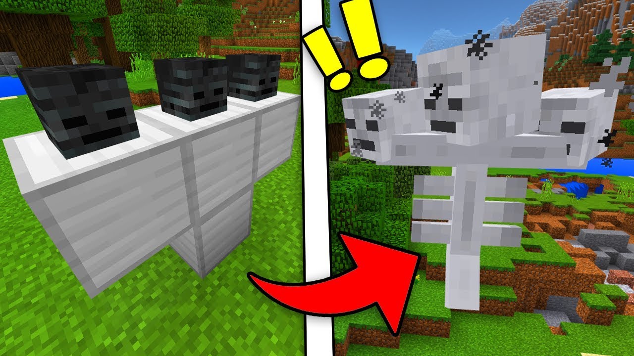 We SUMMONED The WITHER GOD in Minecraft?! - YouTube