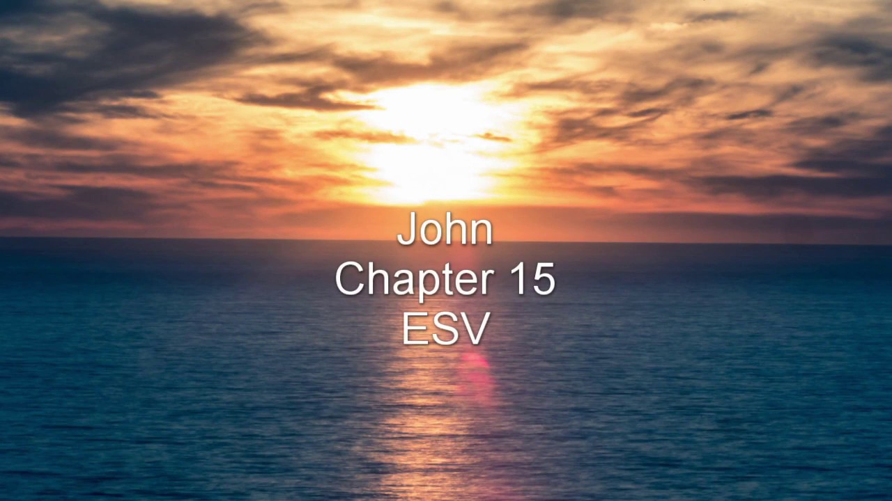 John Chapter 15 ESV YouTube