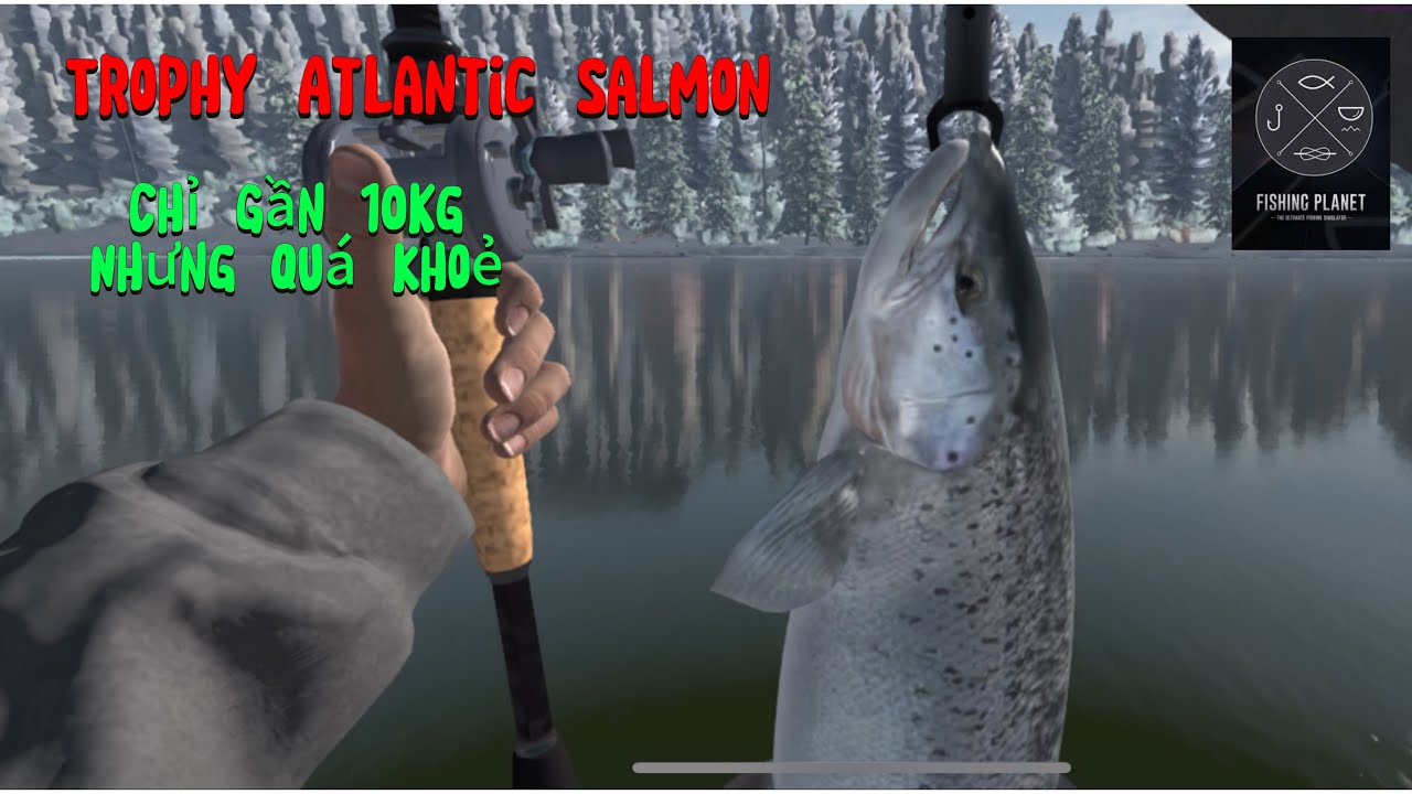 Fishing Planet .Trophy Atlantic Salmon Chỉ 10kg nhưng quá khoẻ - YouTube