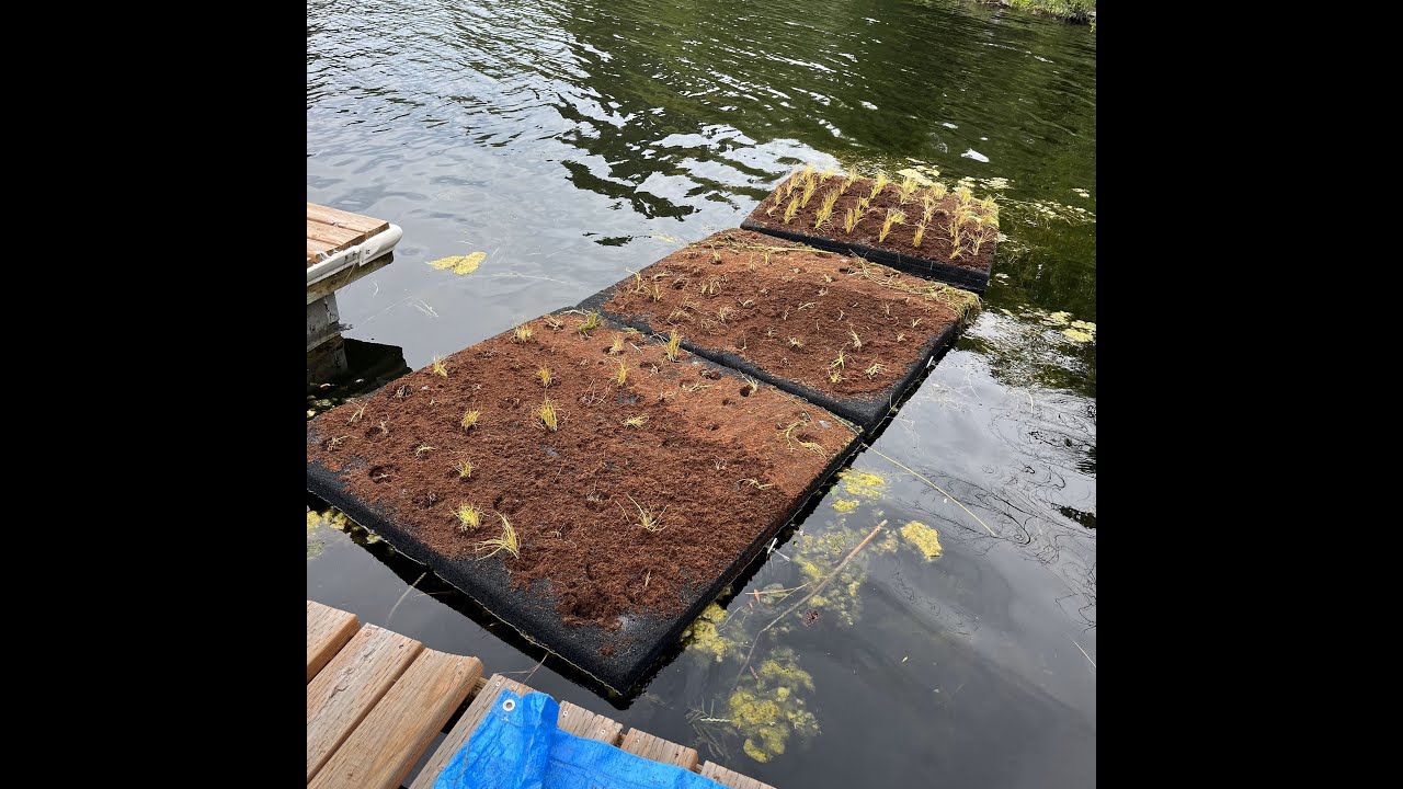 Floating Wetland Project - YouTube