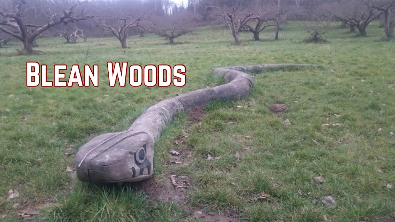 100 Walking - The Blean Woods, Canterbury (13 miles) - YouTube