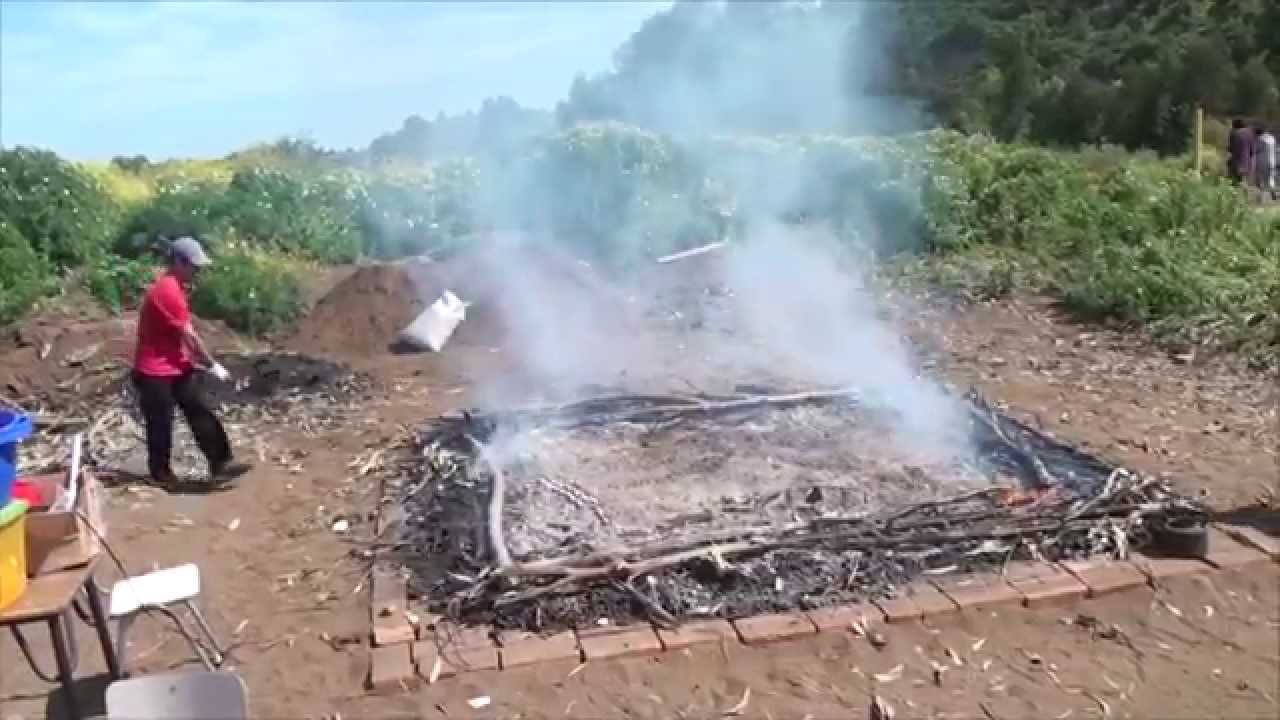 Preparan la tortilla de rescoldo más grande de Chile - YouTube