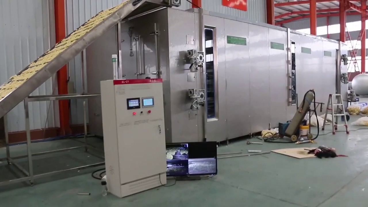 Fruit and vegetable continuous drying machine 20200415 - YouTube