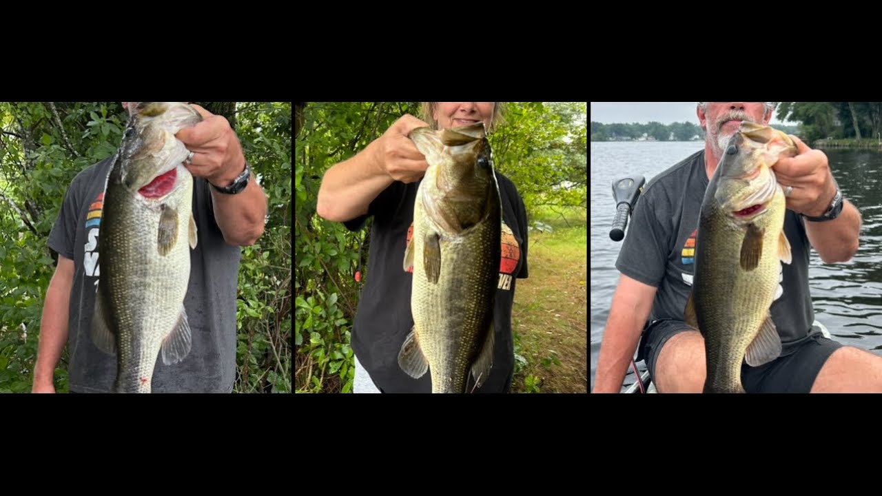 LARGEMOUTH BASS ACTION (8) UP TO 4lb.10oz. SEVERAL OVER 3lbs. FEW ...