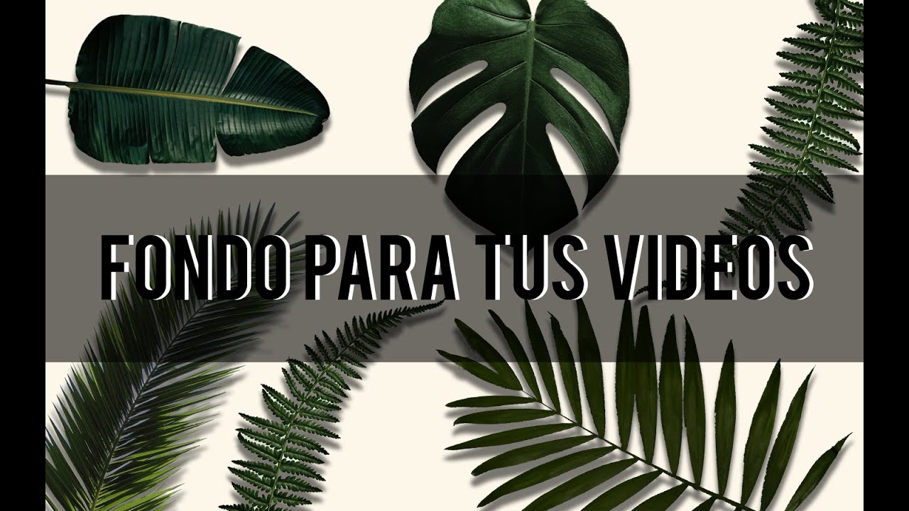 Haz un fondo para tus videos! 🌿 - YouTube