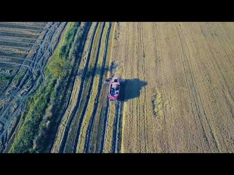 Arta, Rice Fields - Drone footage