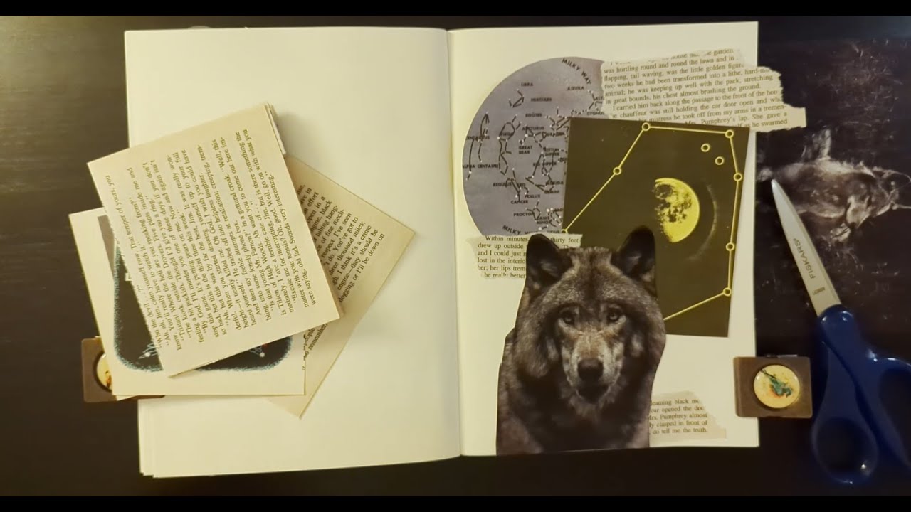 Wolf & Goldfish - Animal themed journal | ASMR no talking - YouTube