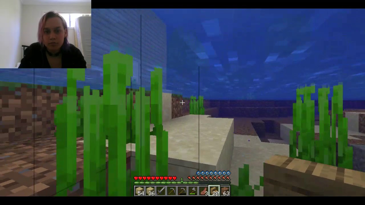 Just Chilling While Playing Minecraft Part 2 (What a Whimsical World ...