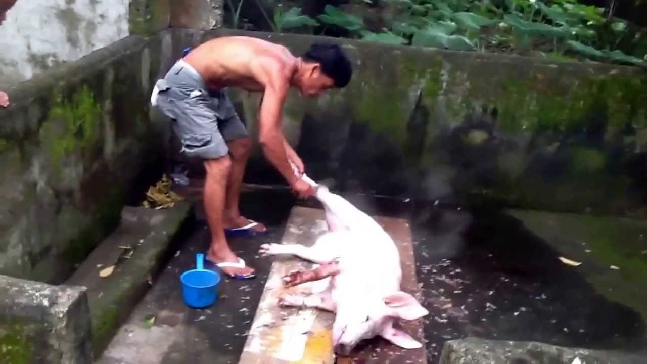 Preparation for litson - YouTube