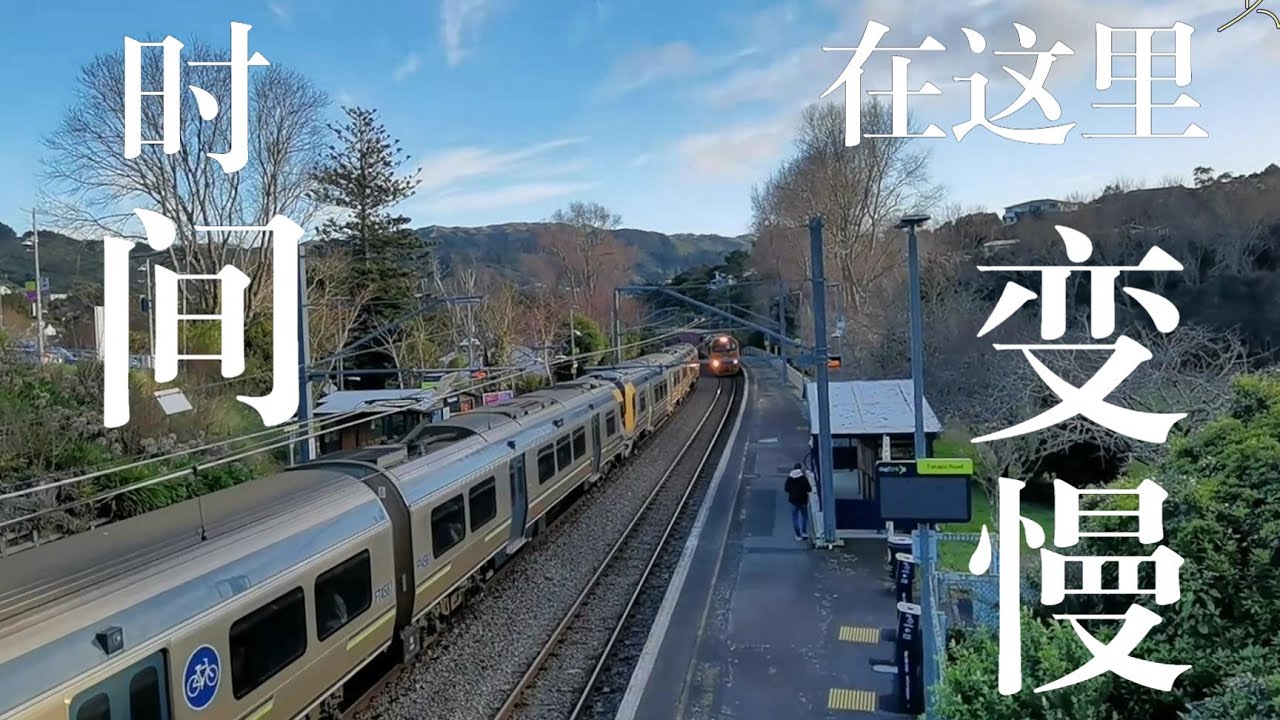 Coming Back to NZ as an International Student, New Zealand Vlog 1 - YouTube
