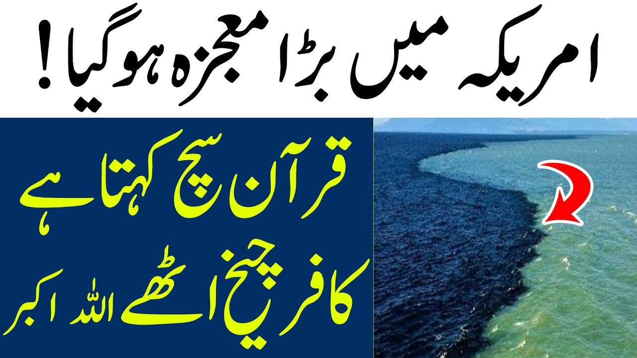 Scientists accept Miracle of Quran about Oceans | Islamic Solution ...