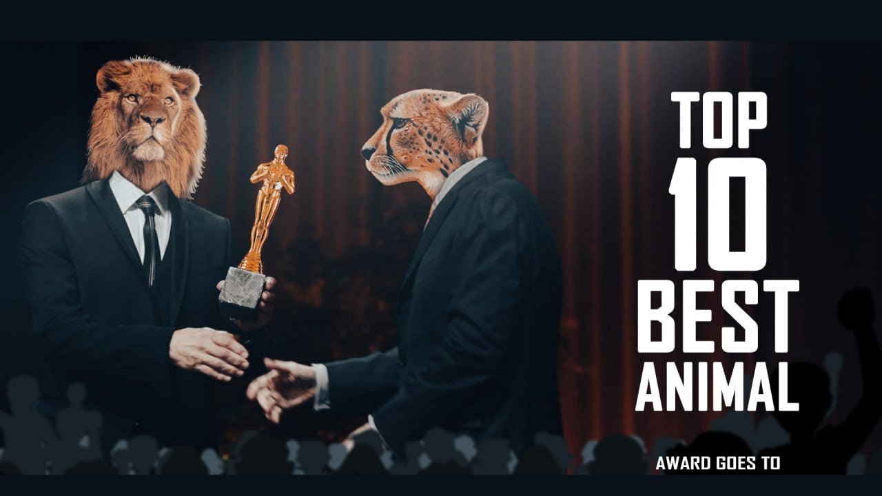 Top 10 Best Animal Award - YouTube