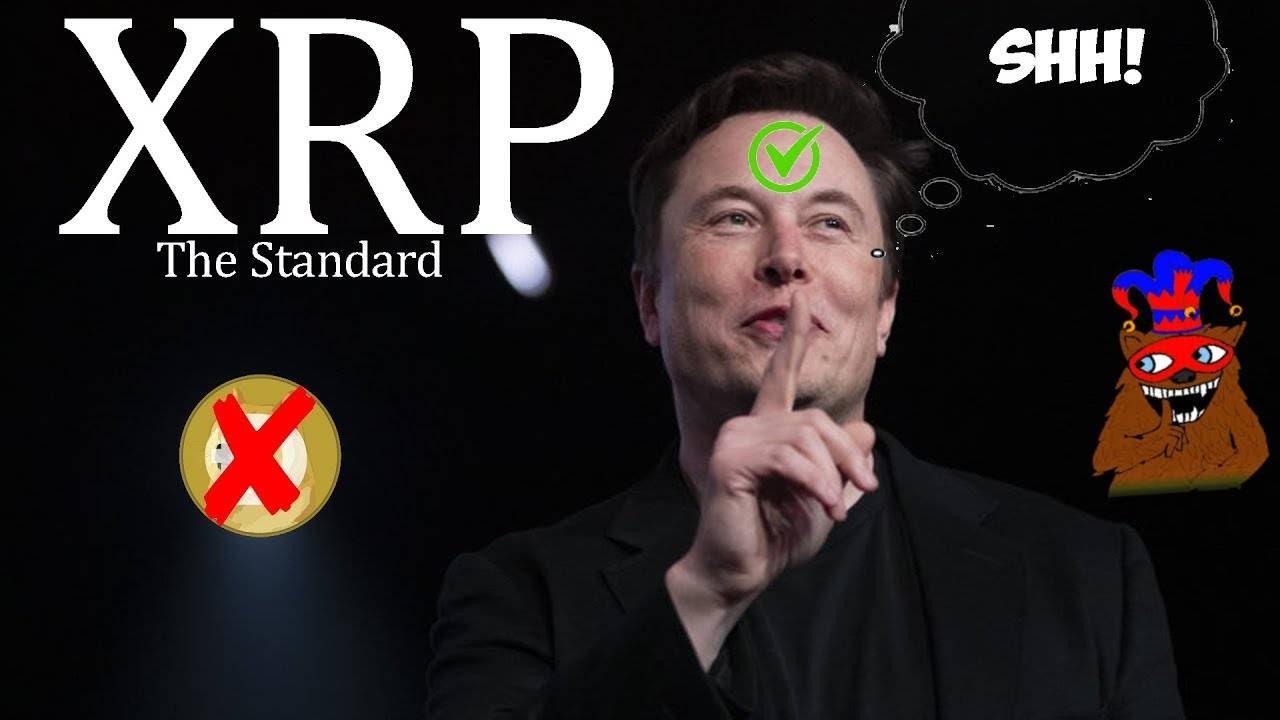 Ripple XRP NUCLEAR NEWS ELON MUSK CONFIRMED CONFIRMED CONFIRMED WE KNEW ...