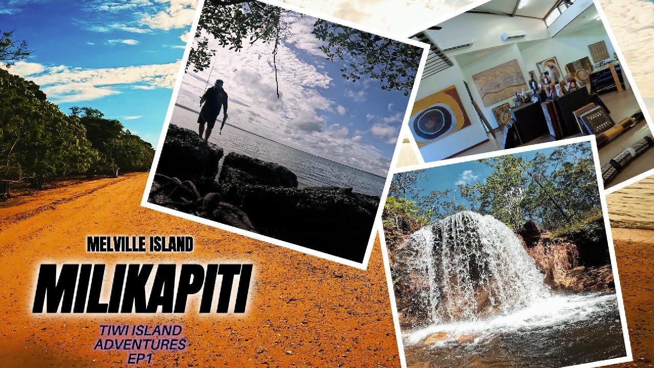 ISLAND LIFE - TIWI ISLANDS - MILIKAPITI - MELVILLE ISLAND - NORTHERN ...
