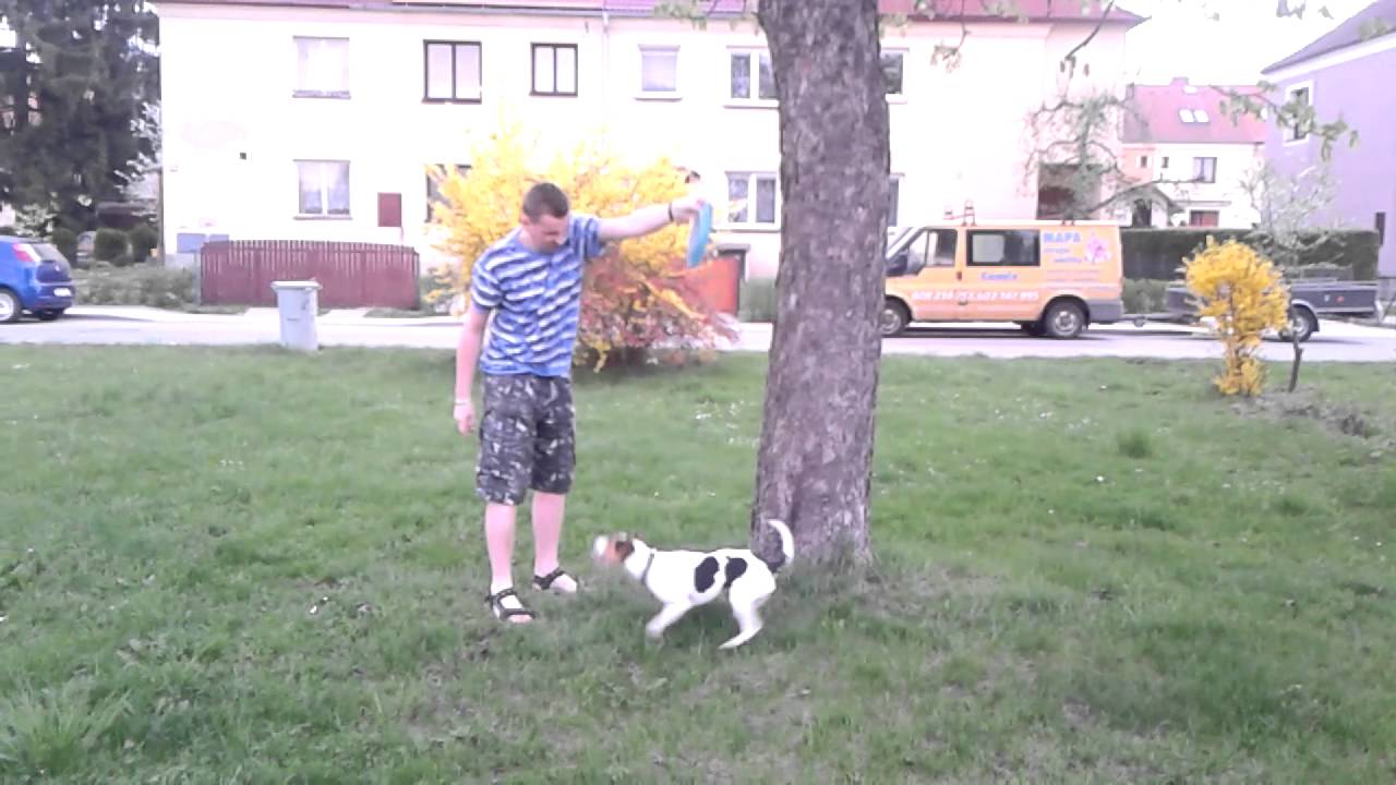 mike skokan 3 - YouTube