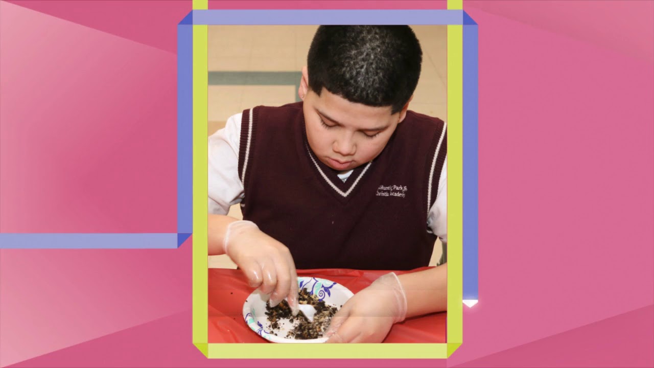 Before- and After-School Program - YouTube