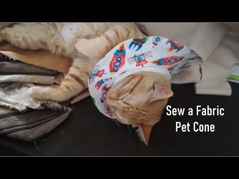 Sew a Pet Safety Collar - A DIY tutorial #pet #sewing #orangecat # ...