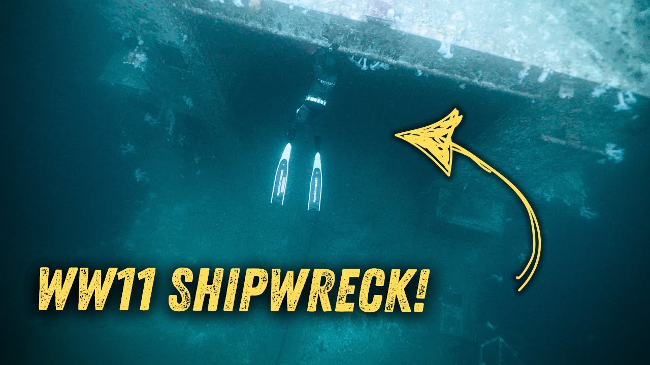 Snorkeling Vancouver, BC - The Best Kept Secrete | PNW Samson - YouTube