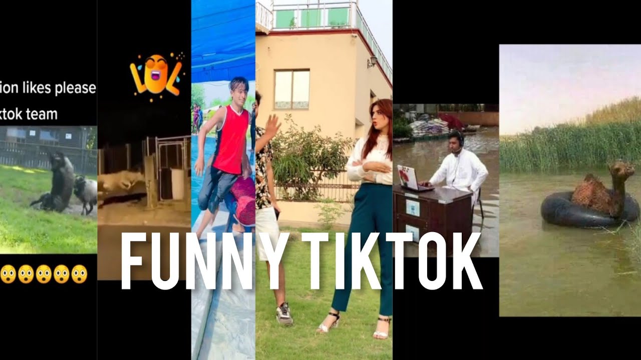 viral best funny videos|crazy funny tiktok video| - YouTube