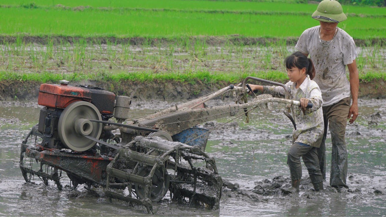 The poor girl went with her uncle Khai to harrow the fields to plant ...