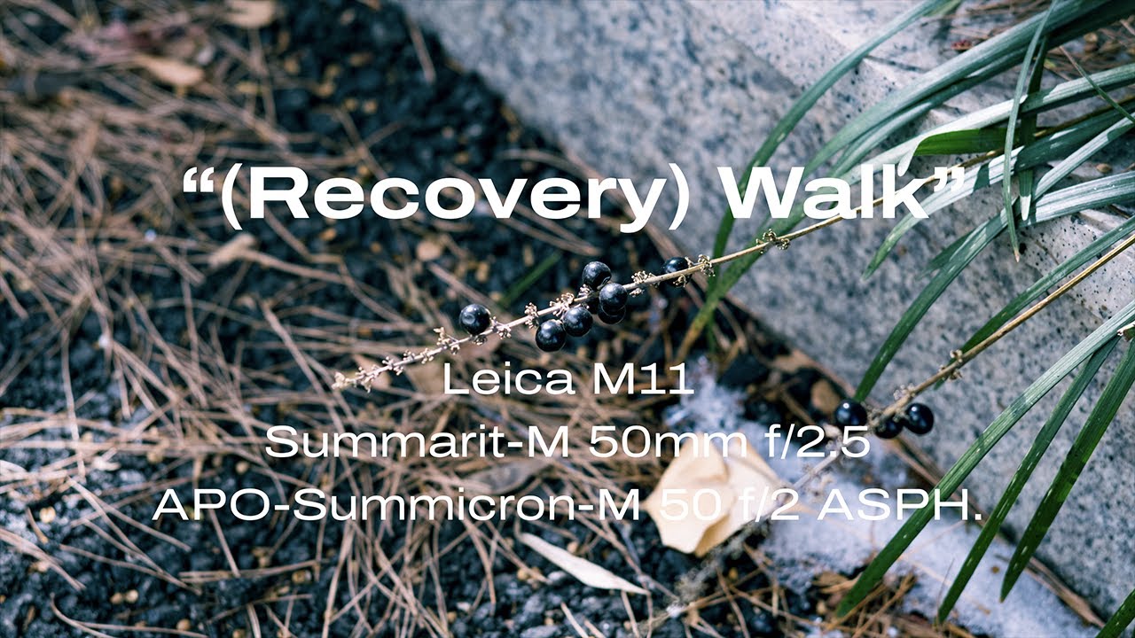 (Recovery) Walk (with Leica M11) - YouTube