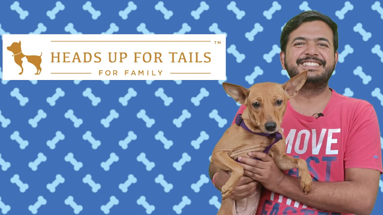 Heads up for Tails | A startup celebrity #StartupStories #BetterIndia # ...