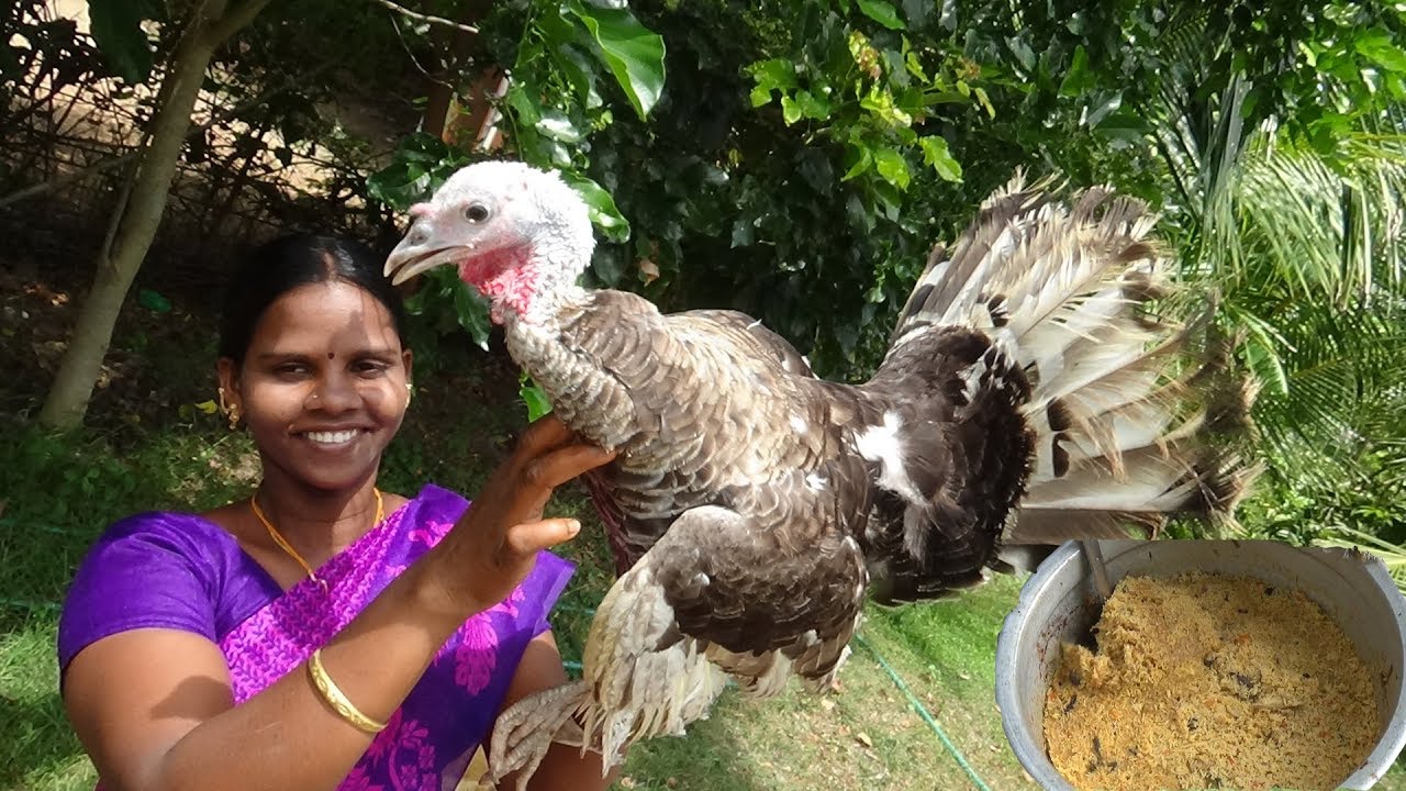 Turkey Dum Biryani | Vaan Kozhi Dum Biryani / வான்கோழி தம் பிரியாணி ...